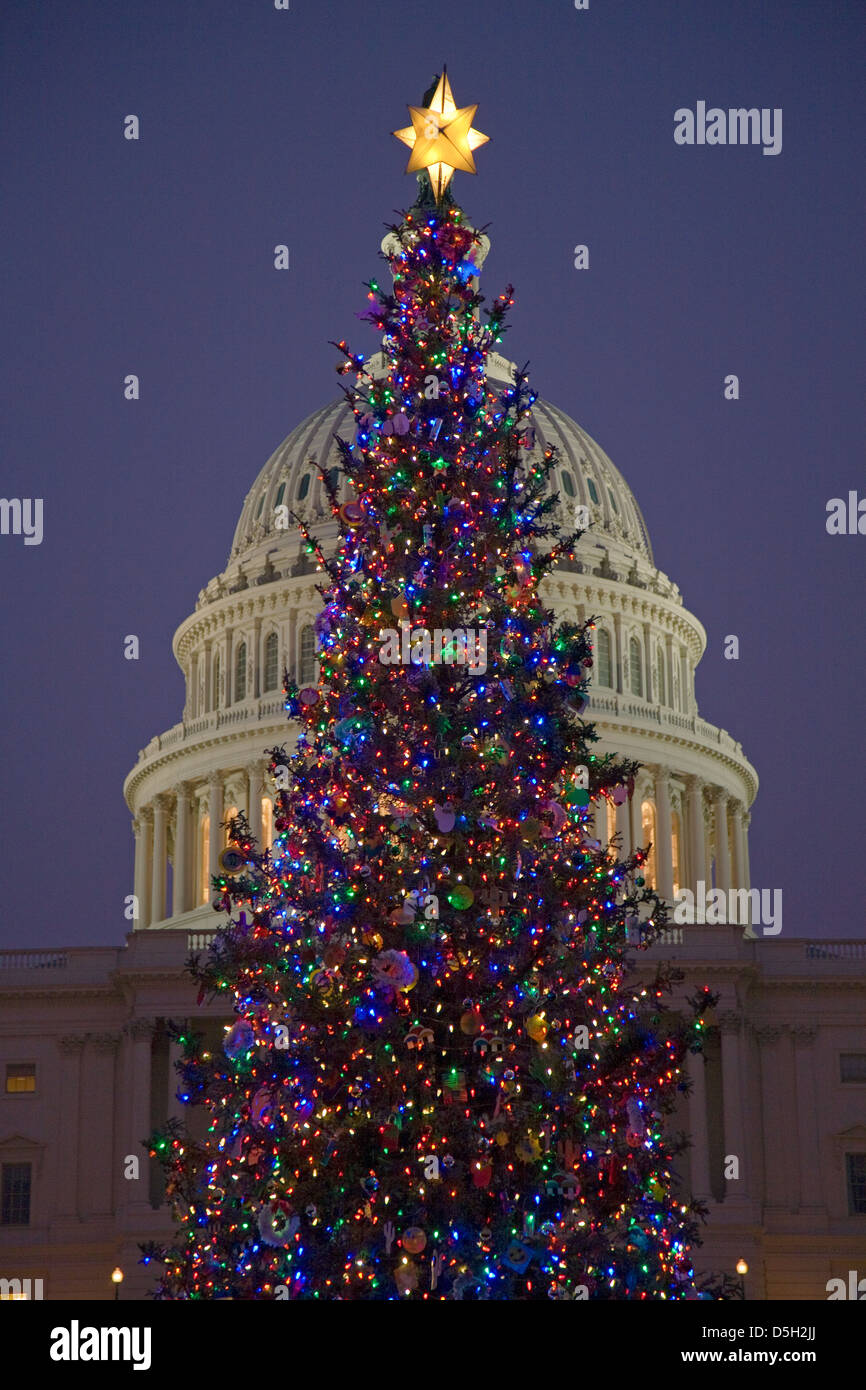 Capitol Christmas Tree at dusk in front of U.S. Capitol, Washington D.C ...