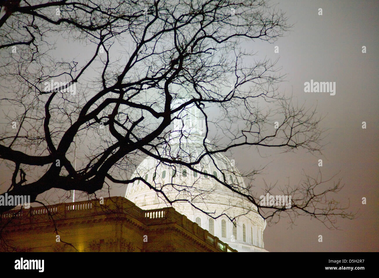 US Capitol at night in fog, Washington D.C., USA Stock Photo - Alamy