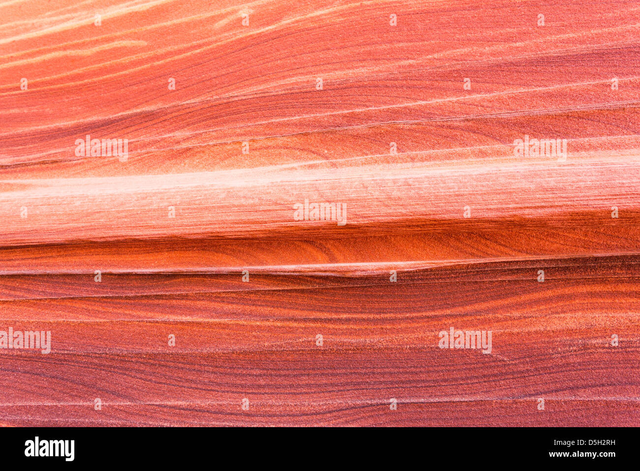 The Wave - colorful sandstone rock formation located in the United ...