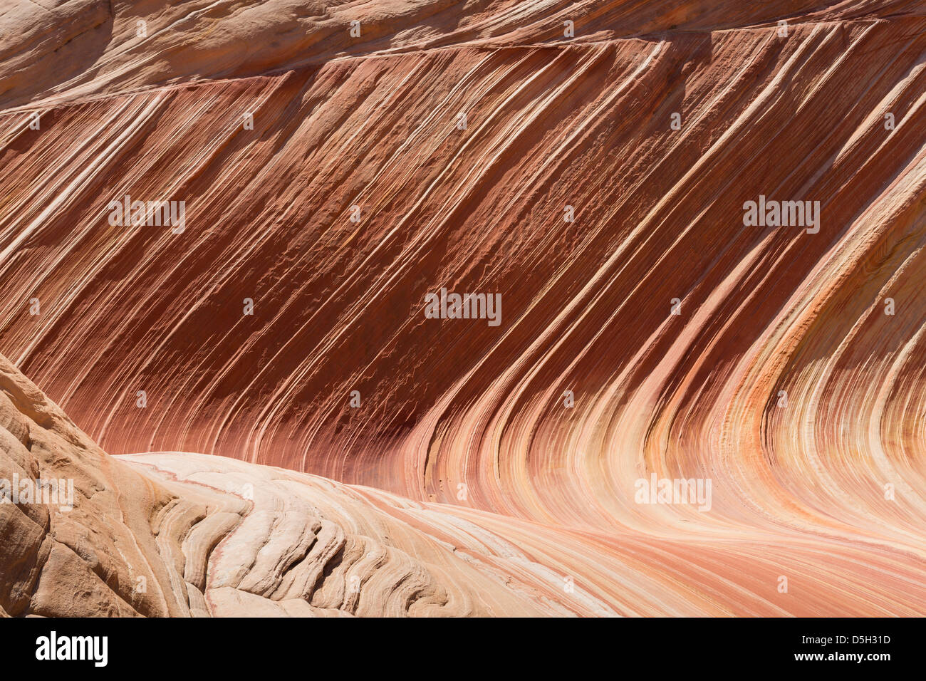 Closeup / abstract view of the iconic Wave - colorful sandstone rock ...