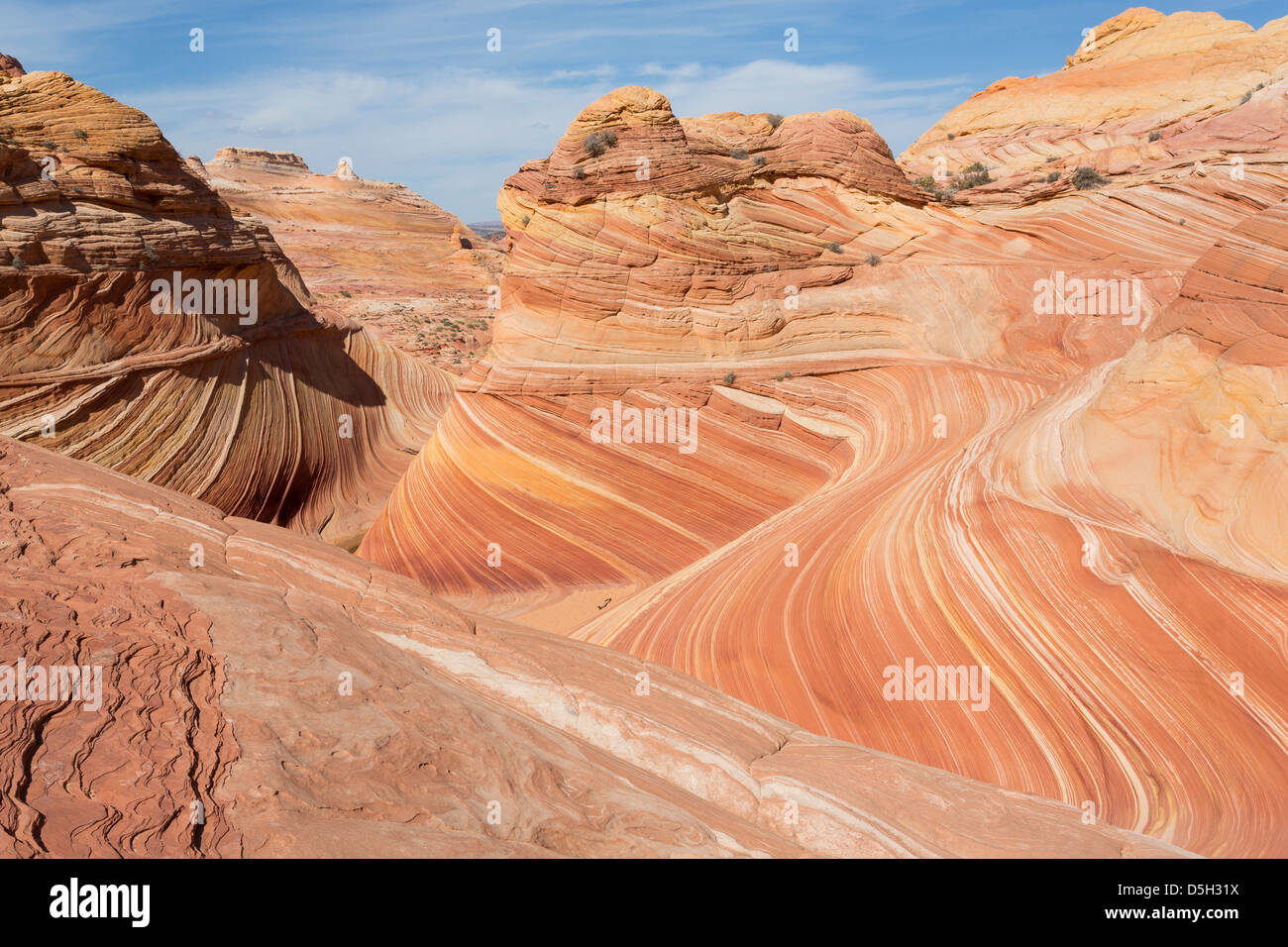 Wide angle view on the iconic Wave - colorful sandstone rock formation ...