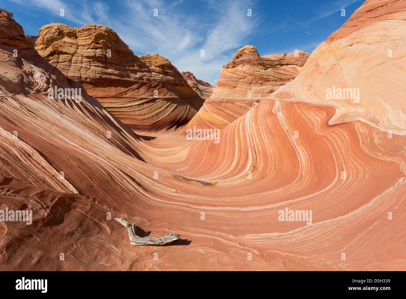 Wave rock formation on utah arizona hi-res stock photography and images ...