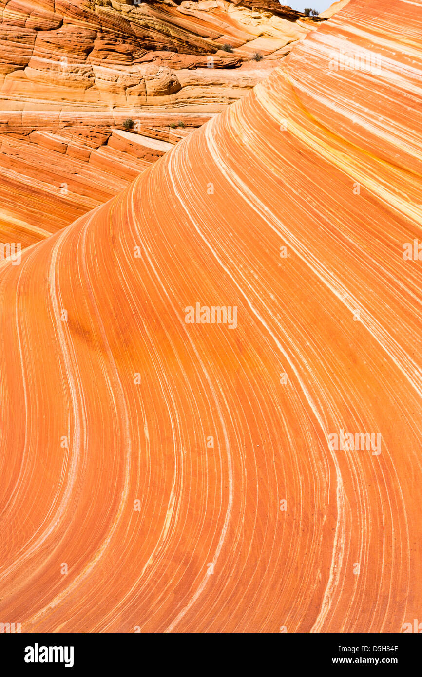 Closeup / abstract view of the iconic Wave - colorful sandstone rock ...