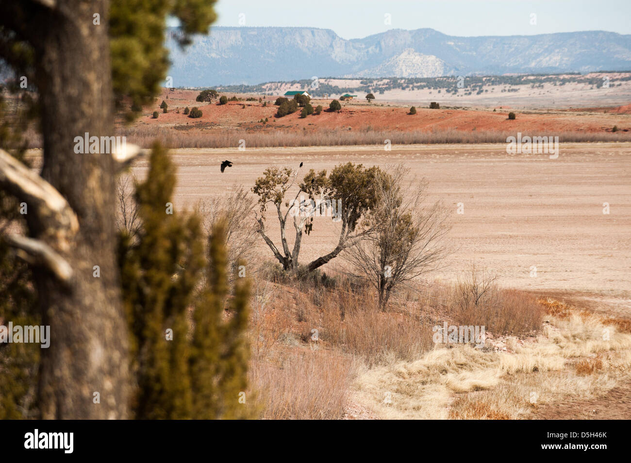 Navajo ranchers new mexico hi-res stock photography and images - Alamy