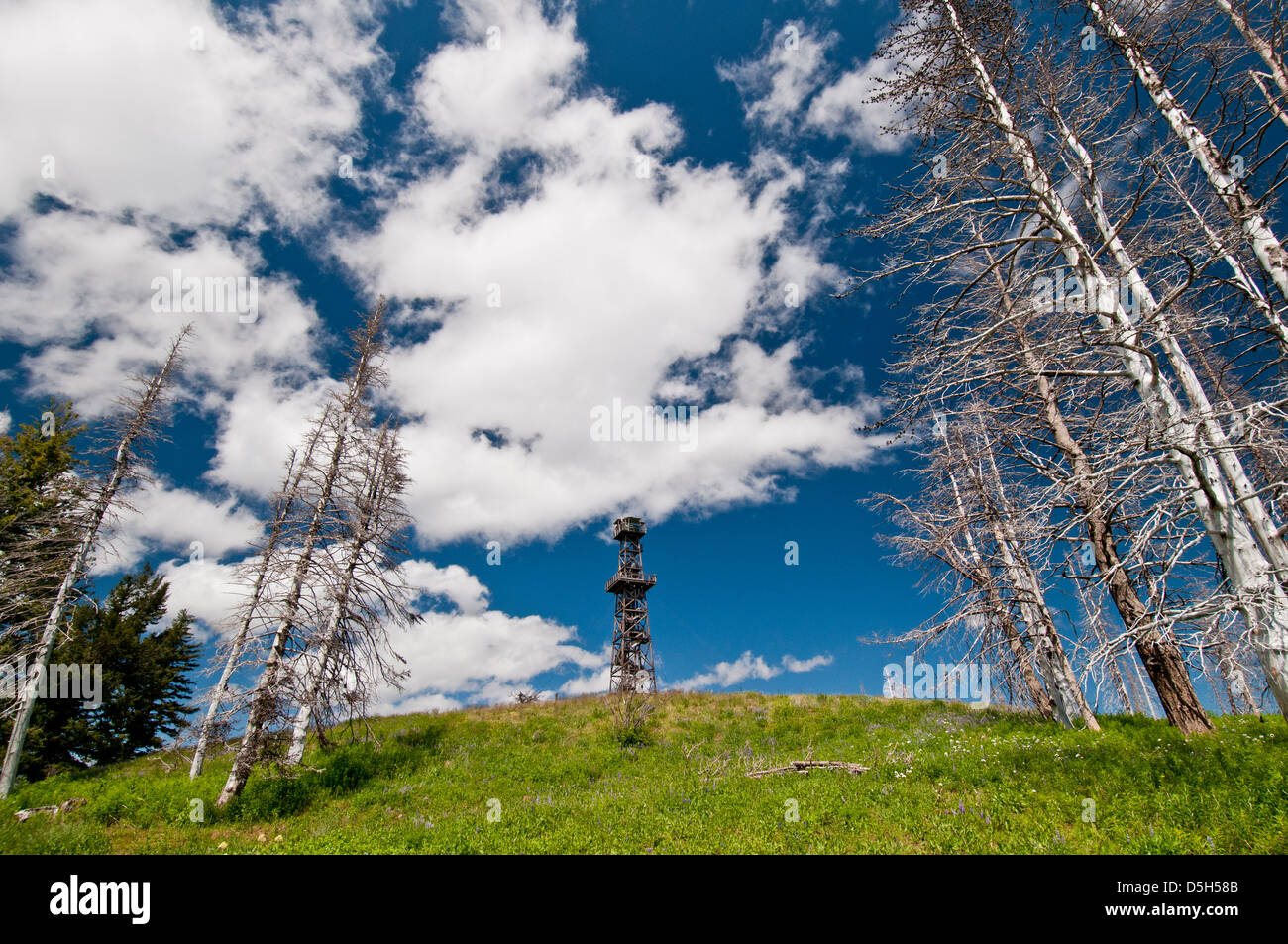 Hat Point fire lookout in Hells Canyon National Recreation Area, Oregon ...