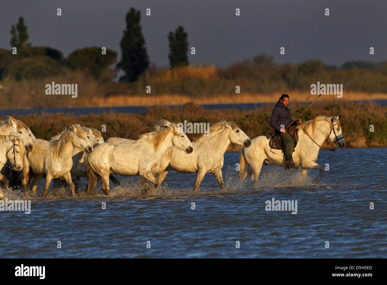 French cowboys hi-res stock photography and images - Alamy