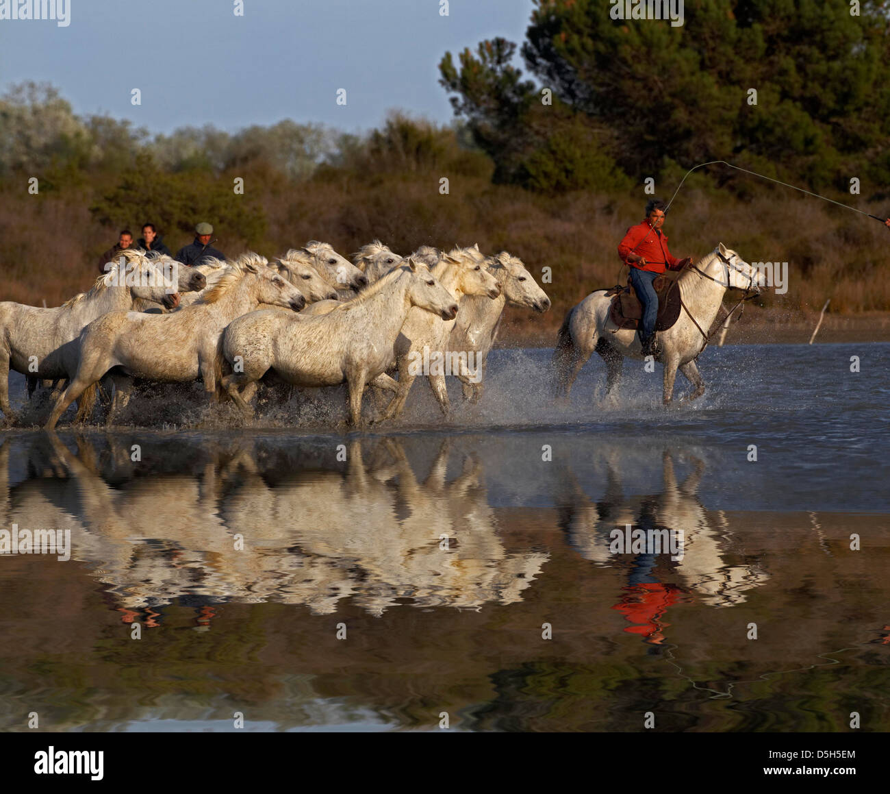 French cowboys hi-res stock photography and images - Alamy