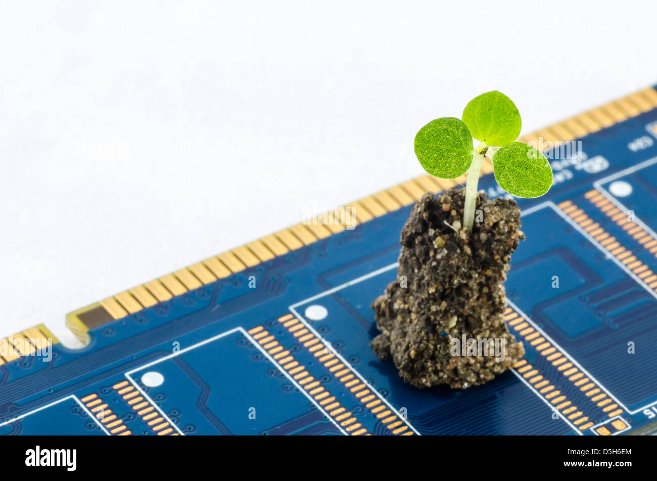 Little plant on electronic in the environment concept Stock Photo - Alamy