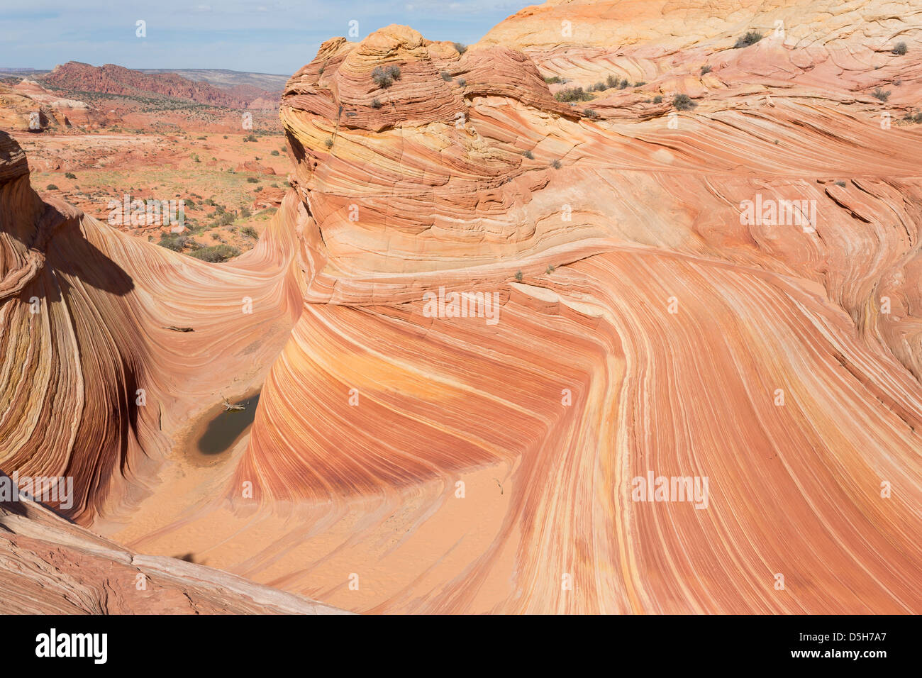 Wide angle view on the iconic Wave - colorful sandstone rock formation ...