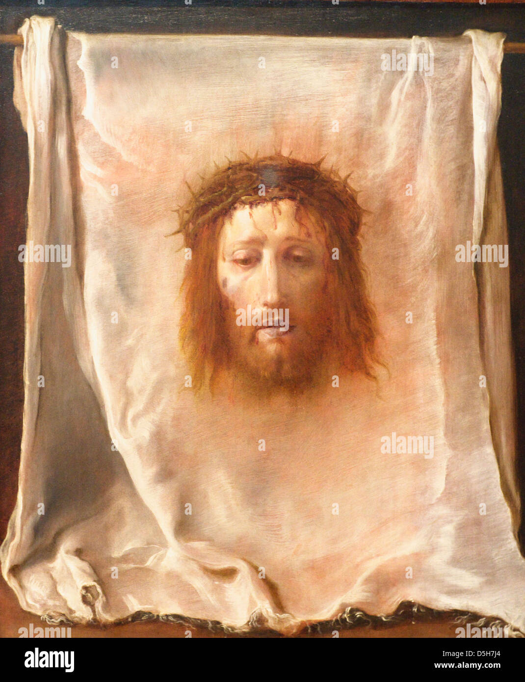 Veil of veronica hi-res stock photography and images - Alamy