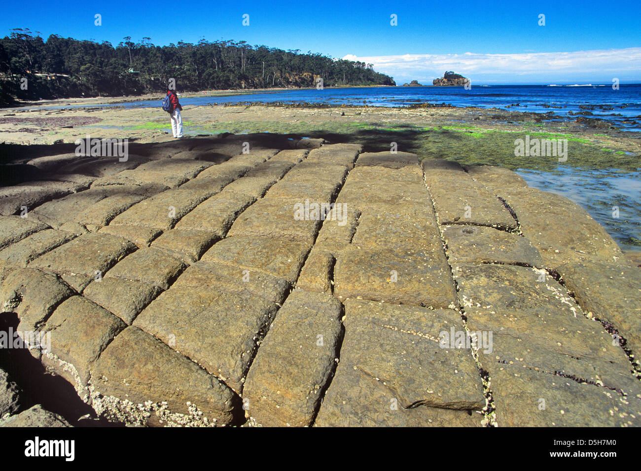 Australia, South-Eastern Tasmania, Forestier Peninsula, Tessellated ...
