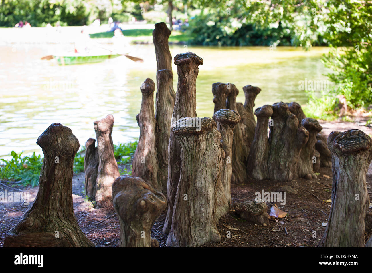 Upside down tree roots by a lake in the park Marseille, France Stock ...