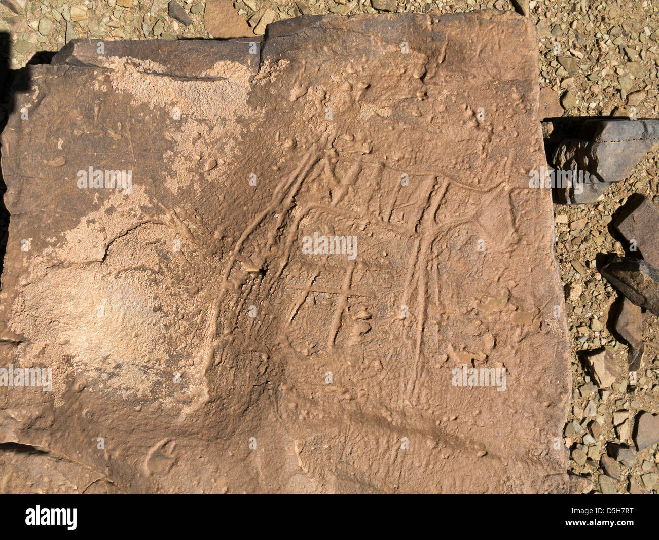 Prehistoric rock carvings at Oued Mestakou on the Tata to Akka road in ...