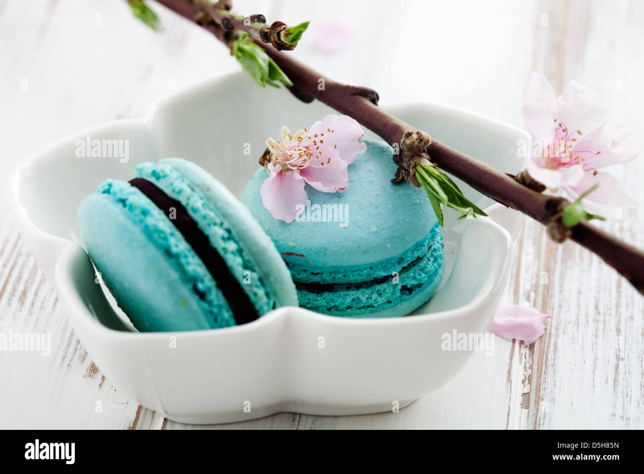 French macaroons in turquoise, decorated with cherry blossom Stock ...