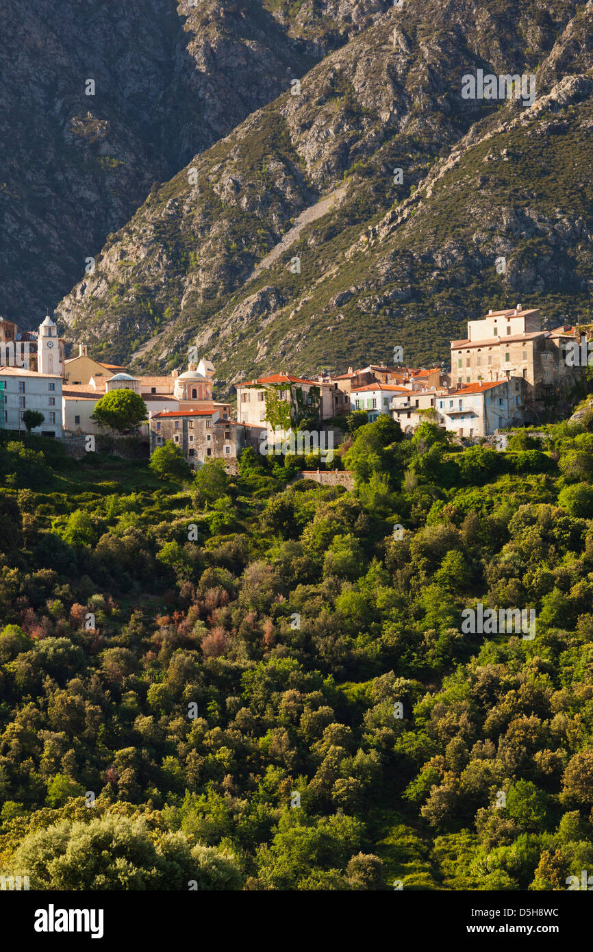 France, Corsica, La Balagne, Belgodere, elevated town view Stock Photo ...