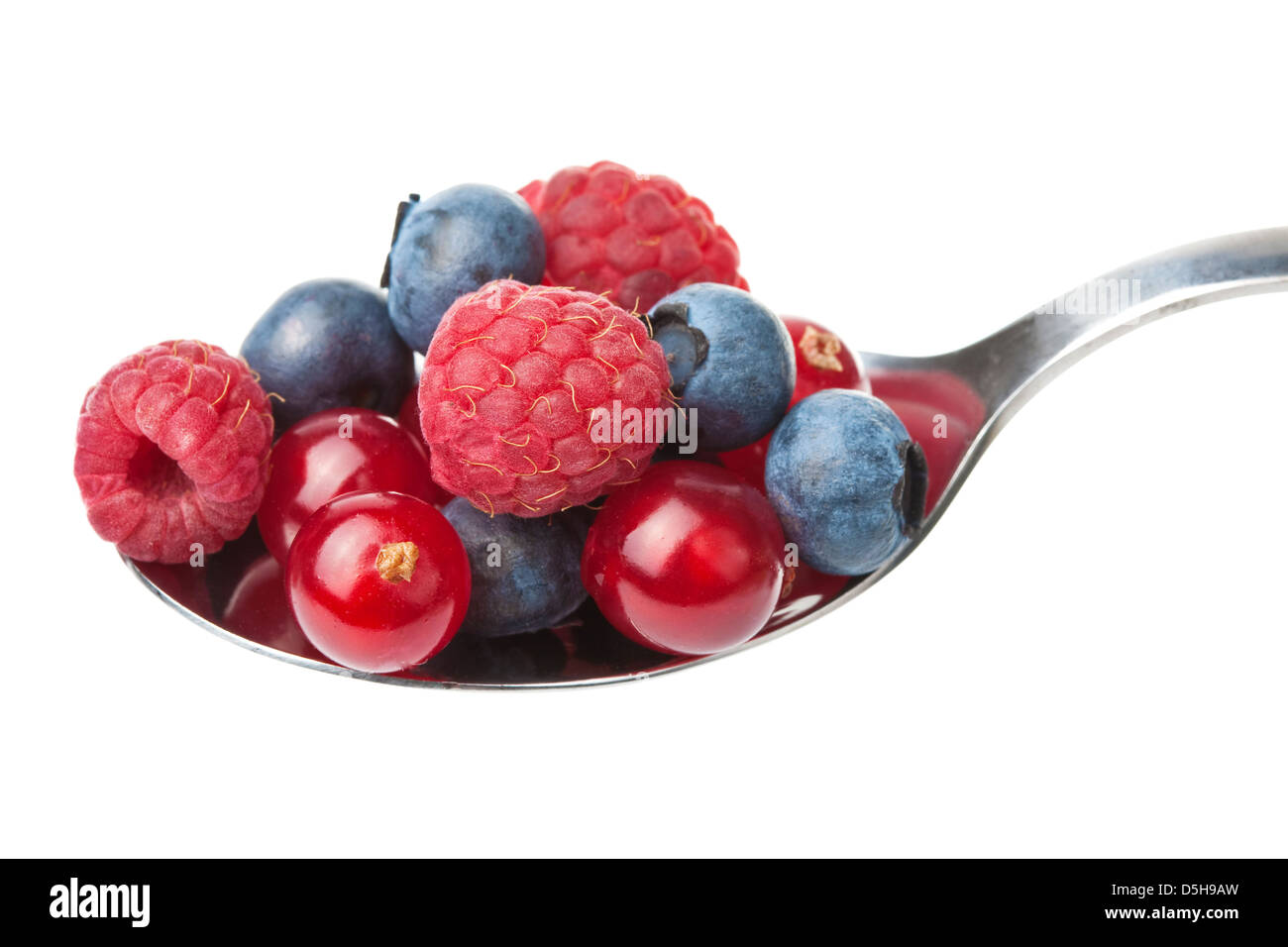 Closeup fresh wild berries Cut Out Stock Images & Pictures - Alamy