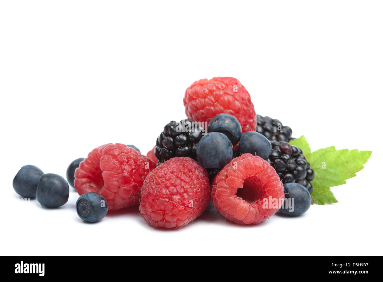 Closeup fresh wild berries Cut Out Stock Images & Pictures - Alamy