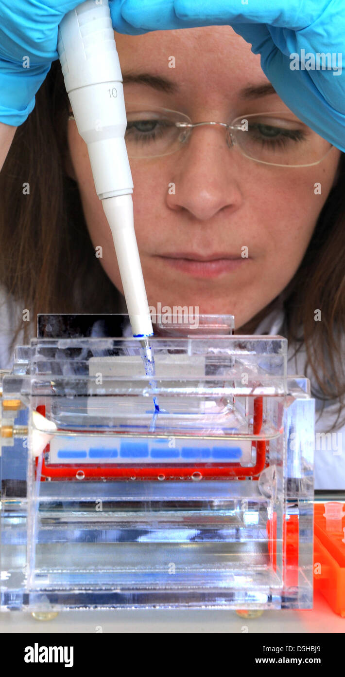 Human biologist Nora Kloeting of the internal medicine department of ...