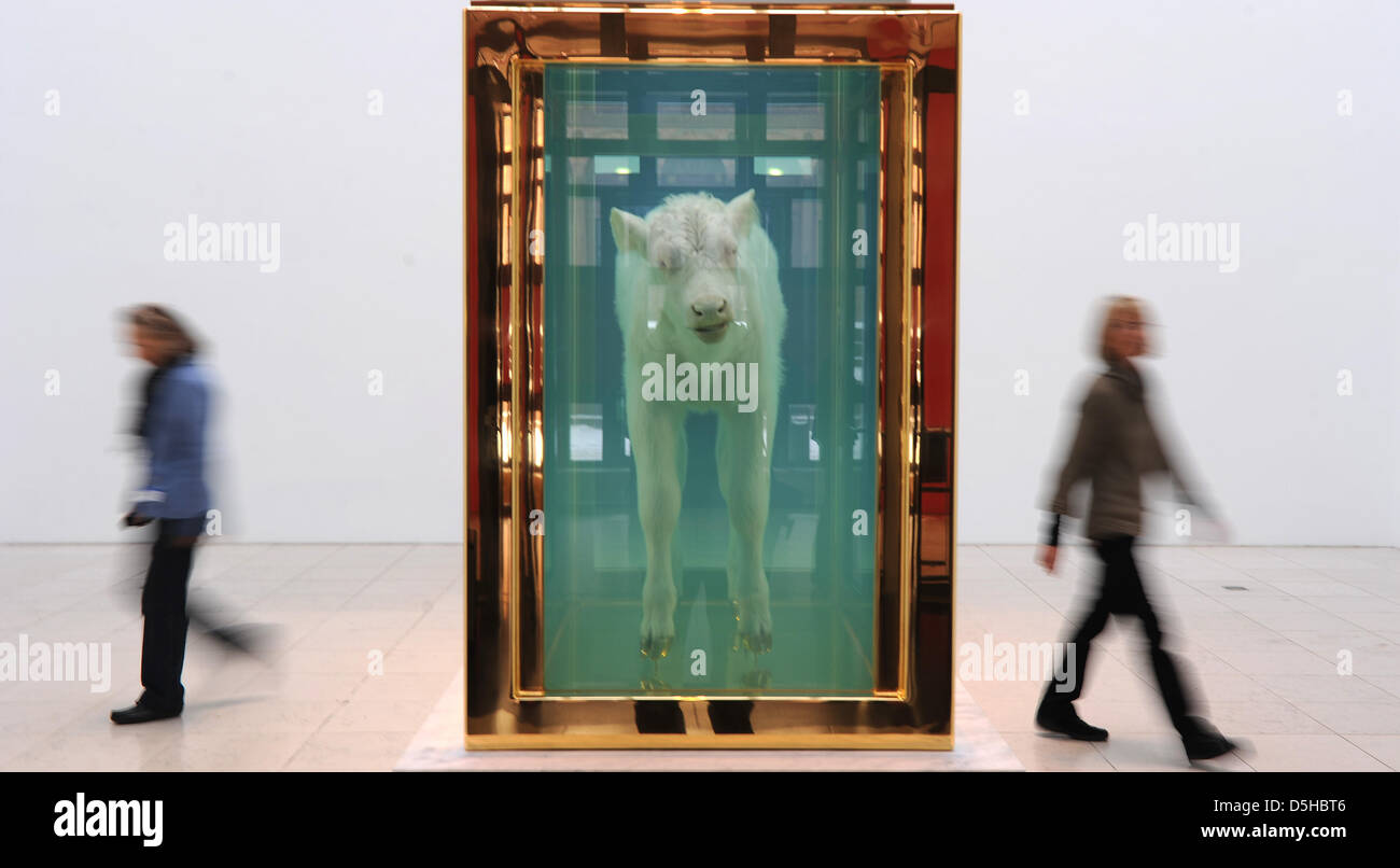 The exhibit 'False Idol', a calf in formaldehyde by artist Damien Hirst ...