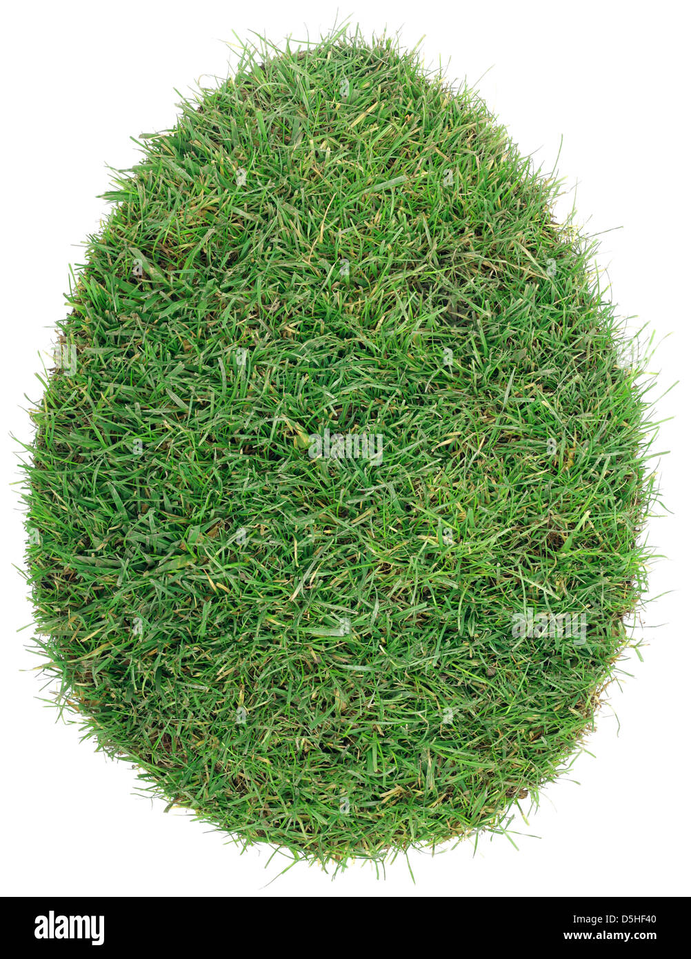Egg Shaped Grass Turf Isolated on White Background Stock Photo - Alamy