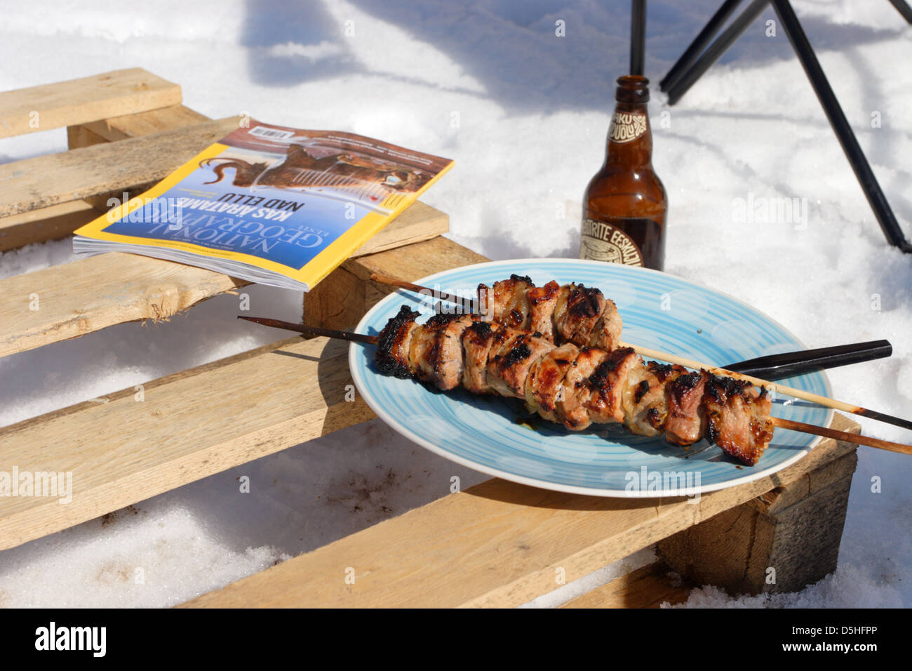 Outdoor barbecue russian grill hi-res stock photography and images - Alamy