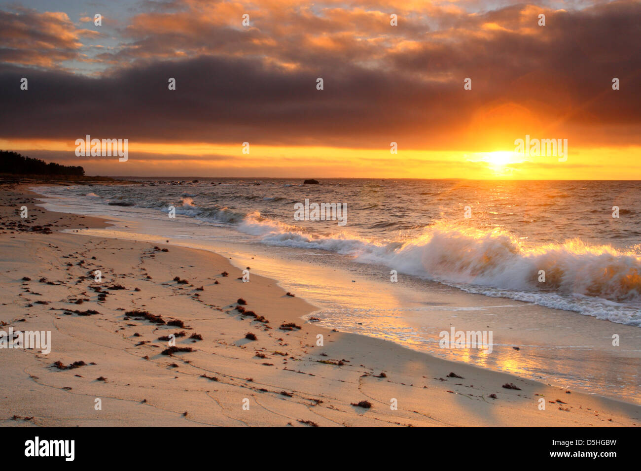 Coastline at Hiiumaa island, Estonia Stock Photo - Alamy