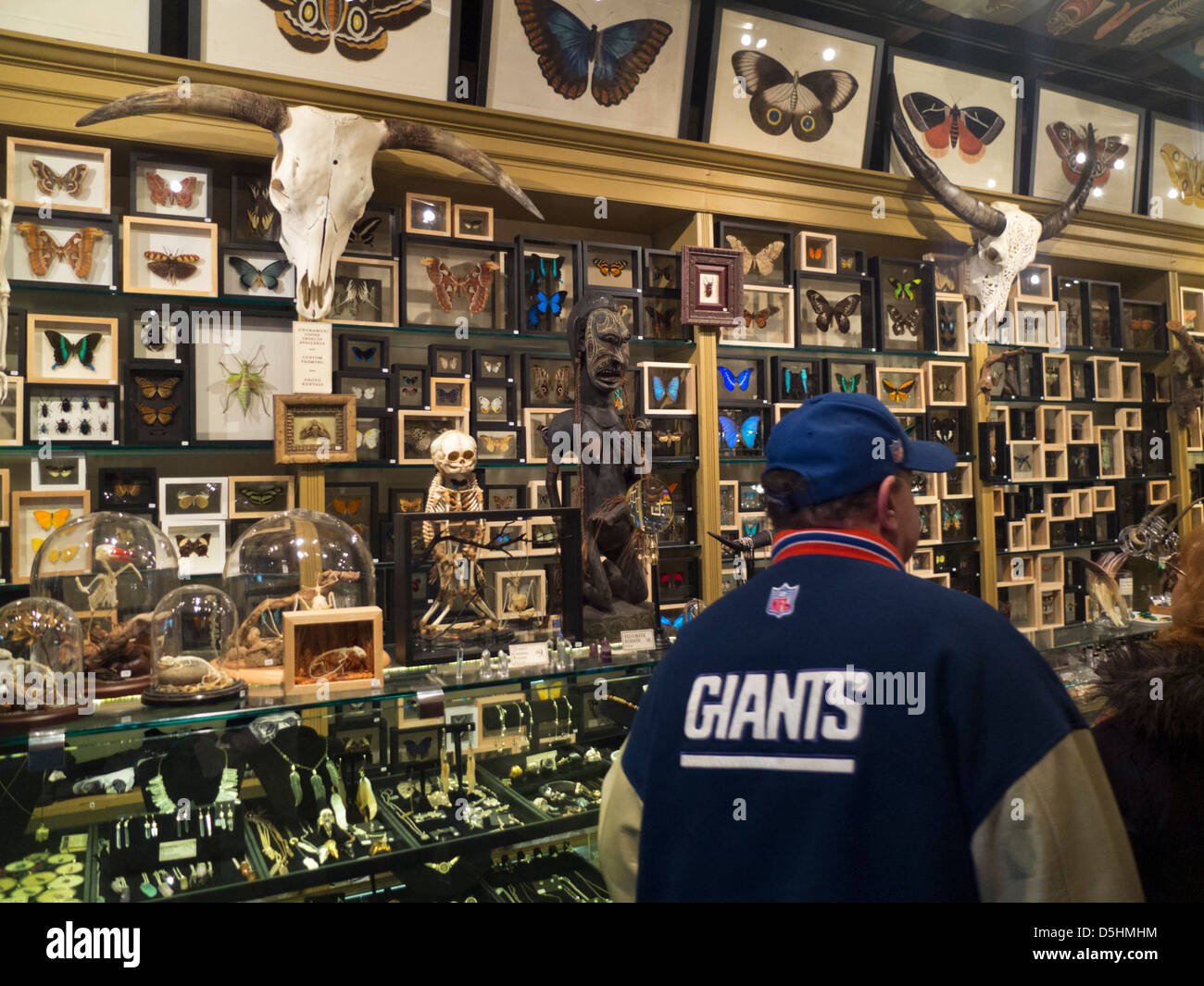 Evolution store in New York City Stock Photo - Alamy