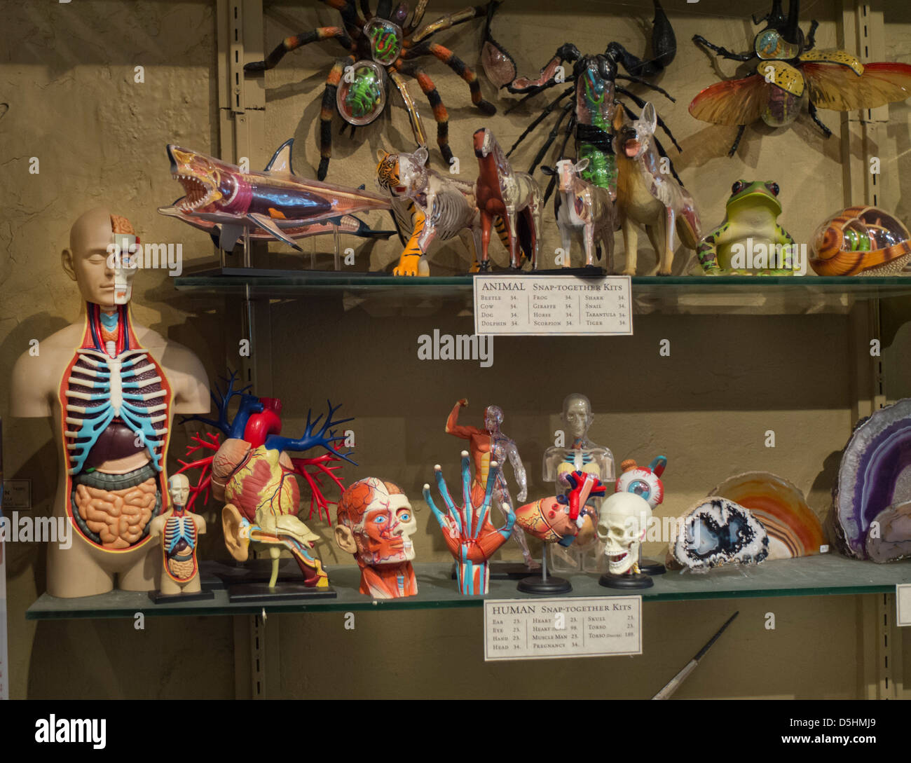 The evolution of new york hi-res stock photography and images - Alamy