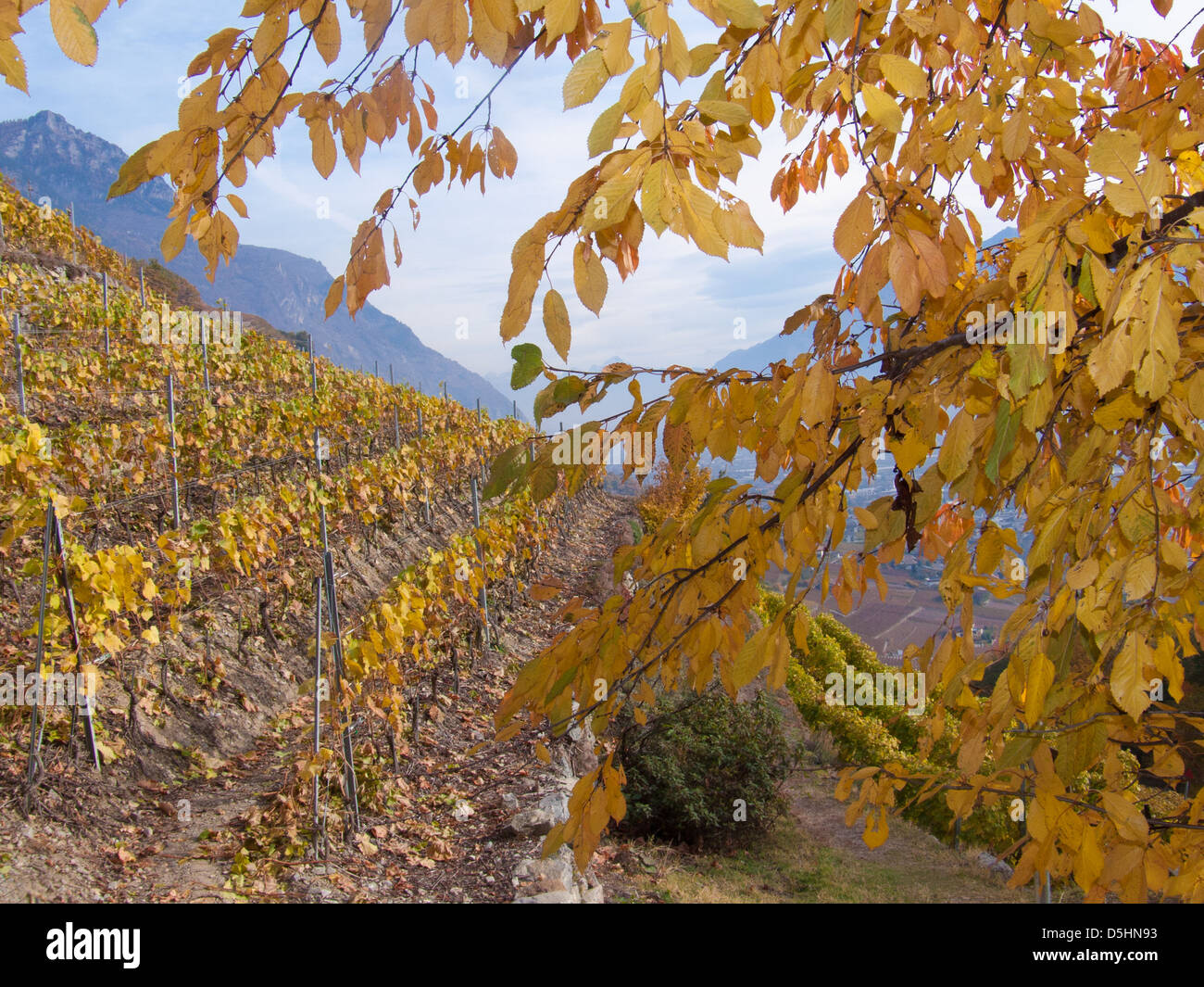 branson ,fully, valais, SUISSE Stock Photo - Alamy