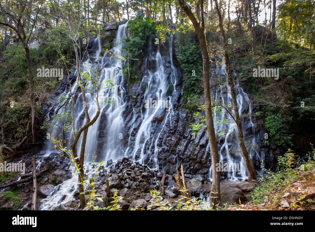 Rainforest Waterfall in Mexico Stock Photo - Alamy