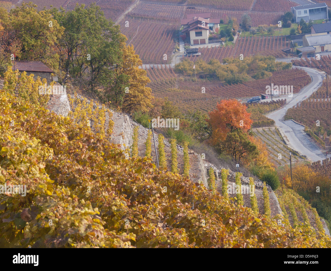 branson ,fully, valais, SUISSE Stock Photo - Alamy