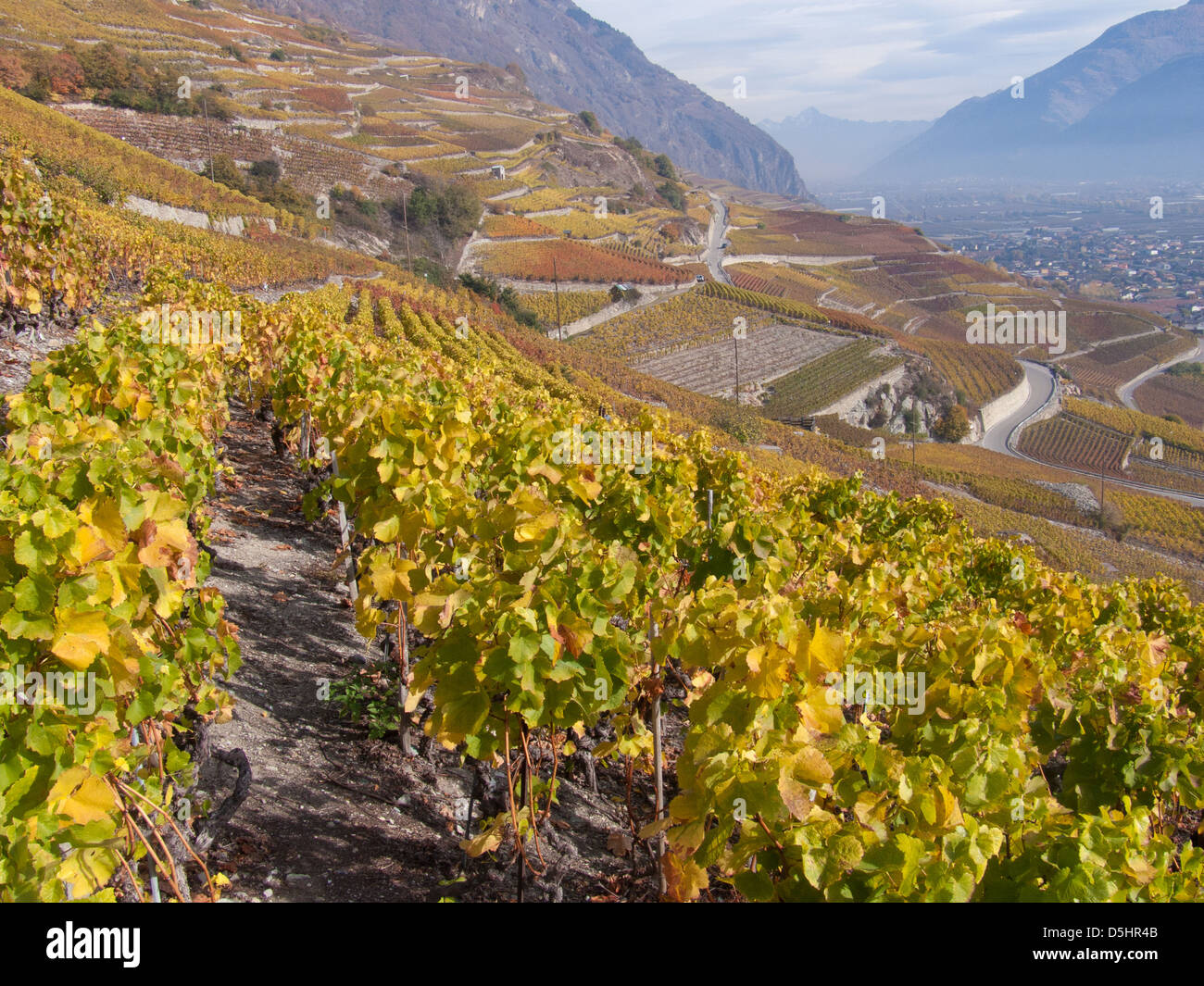 branson ,fully, valais, SUISSE Stock Photo - Alamy