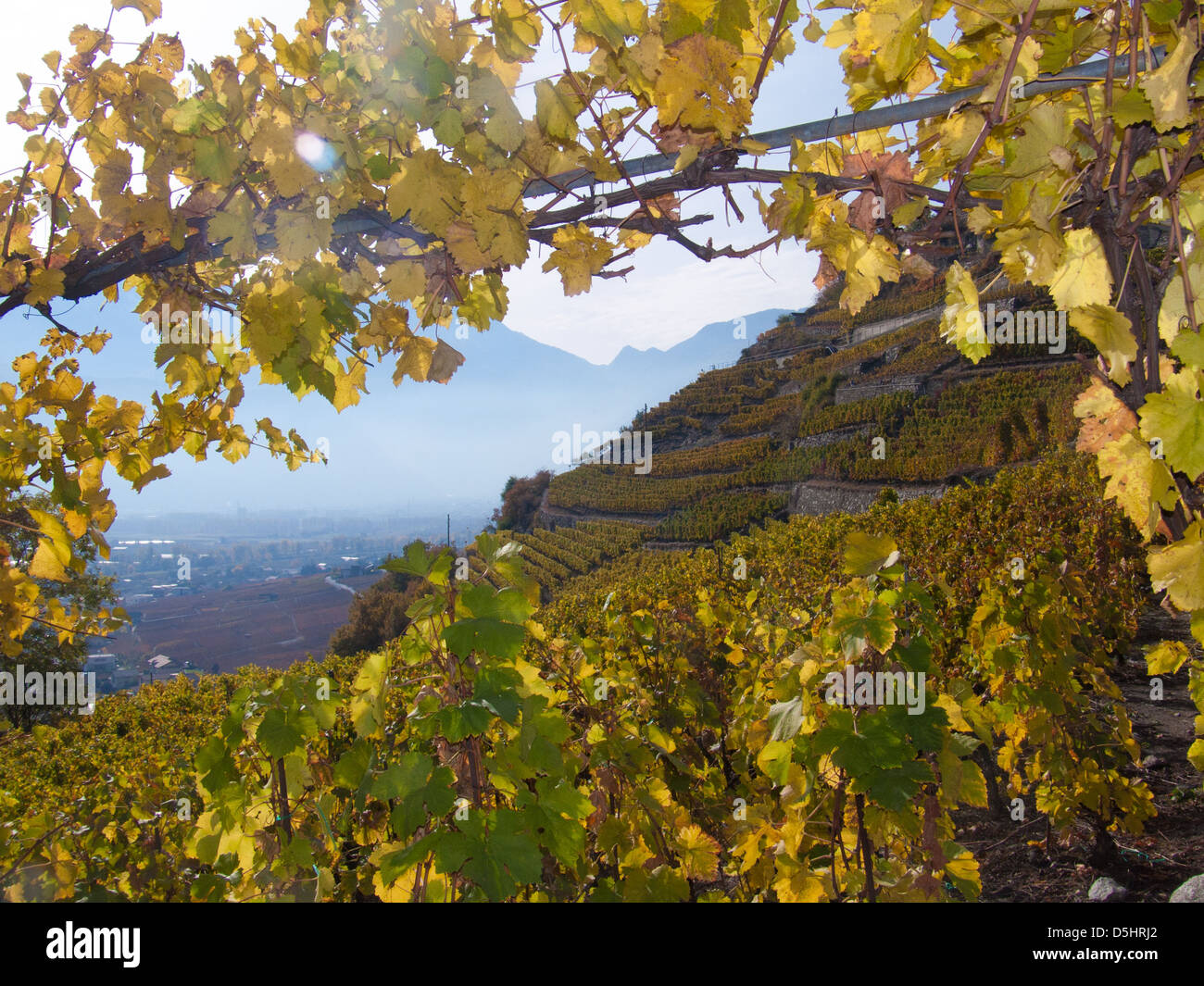branson ,fully, valais, SUISSE Stock Photo - Alamy