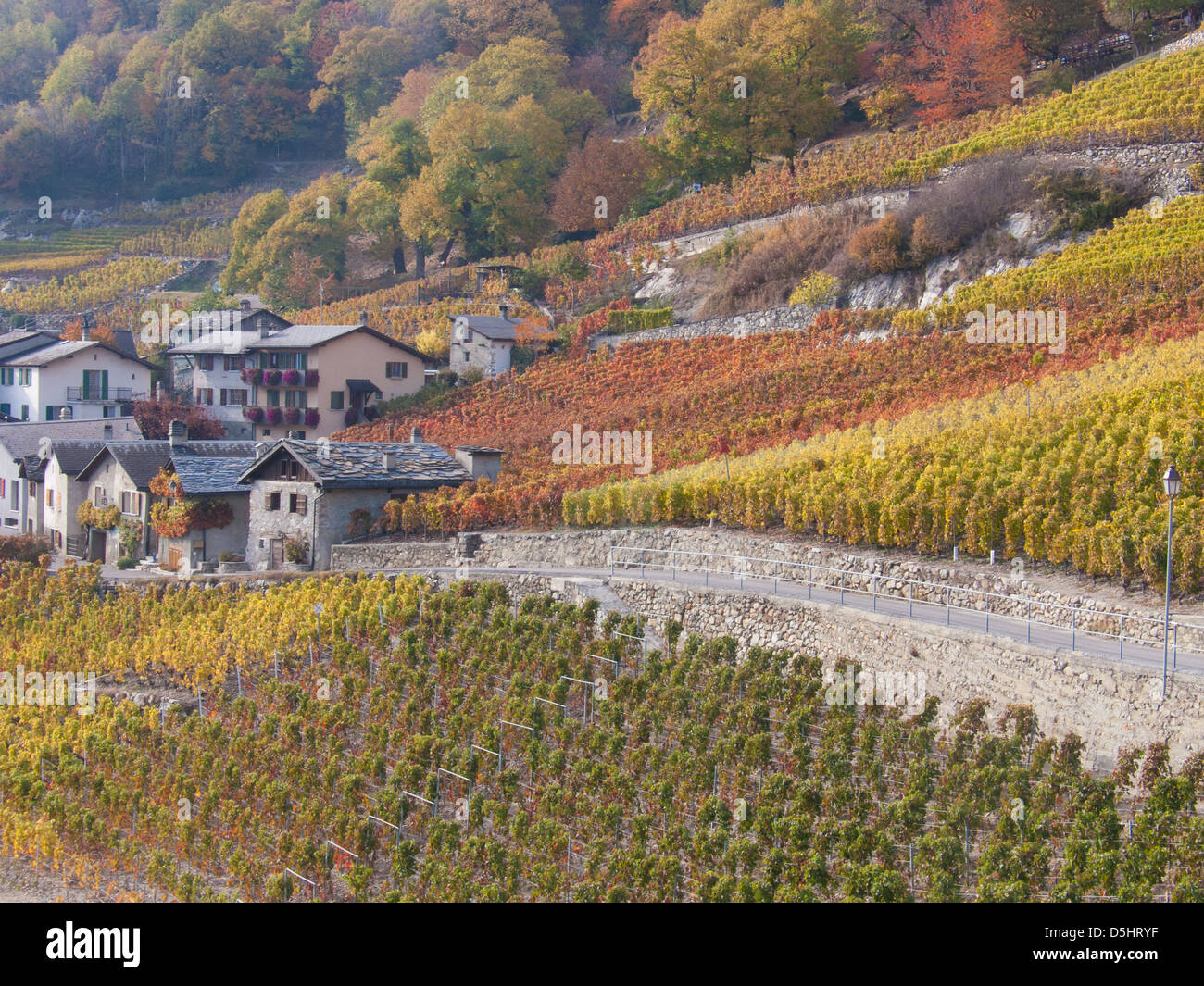 branson ,fully, valais, SUISSE Stock Photo - Alamy