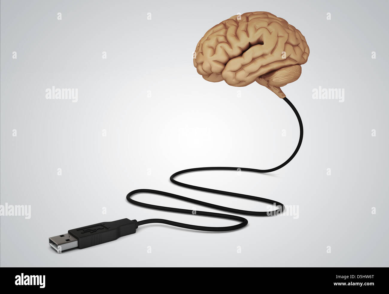 Illustration of human brain connected with USB cable over gray ...