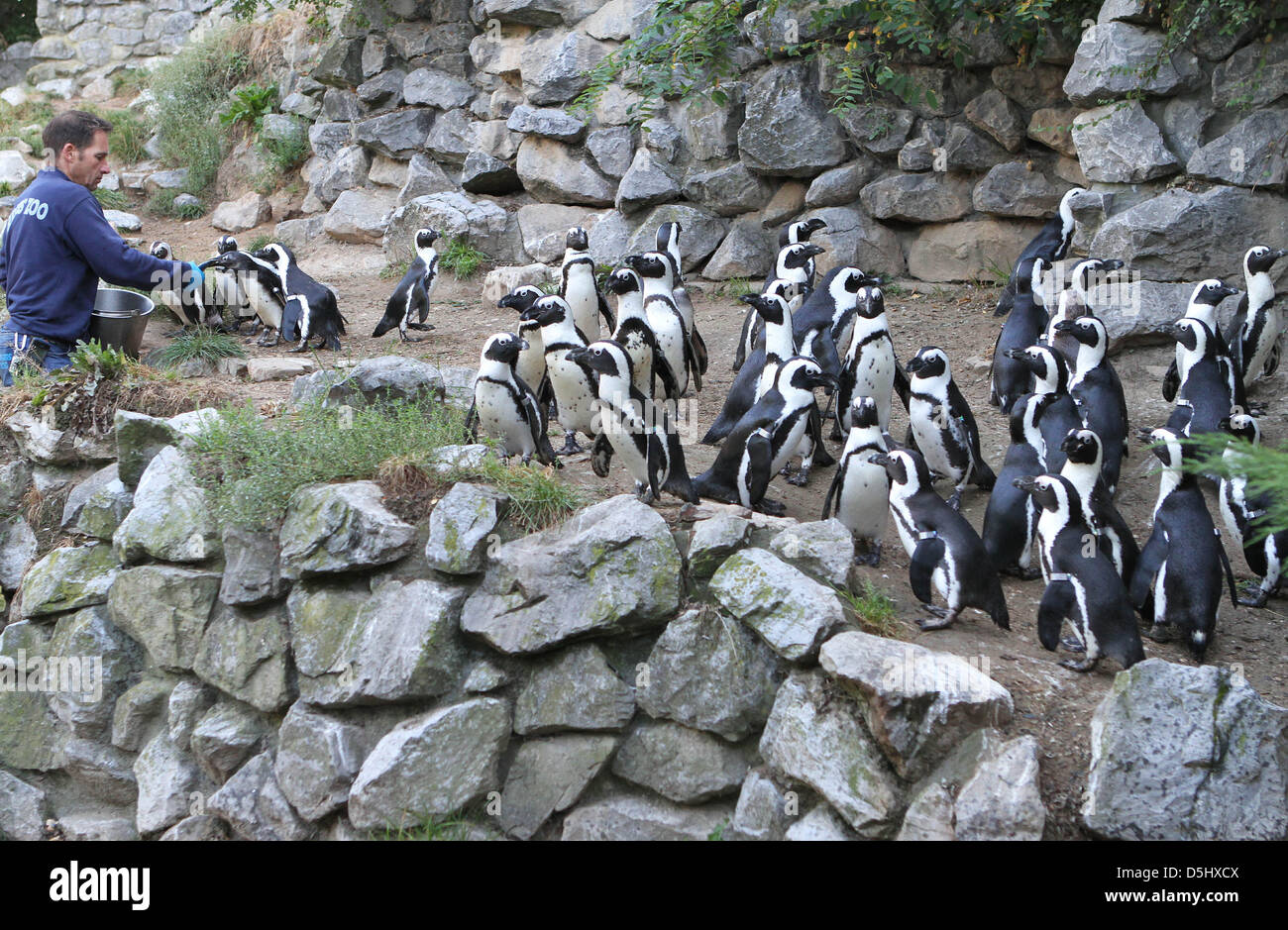 Keeper feeds hi-res stock photography and images - Alamy