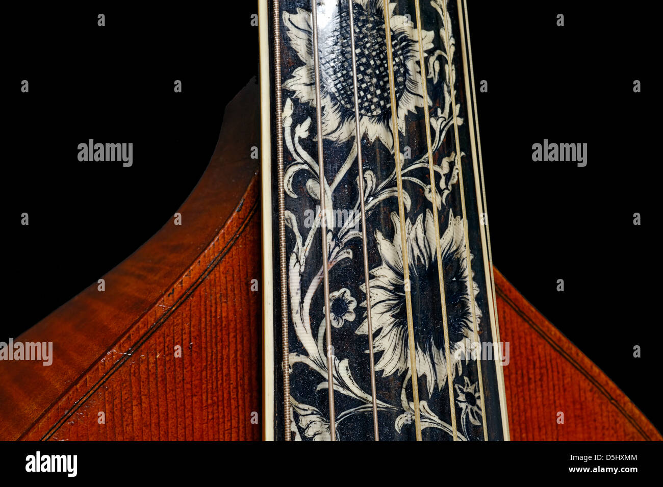 Detail from a seven-string bass viola da gamba with inlaid fingerboard ...