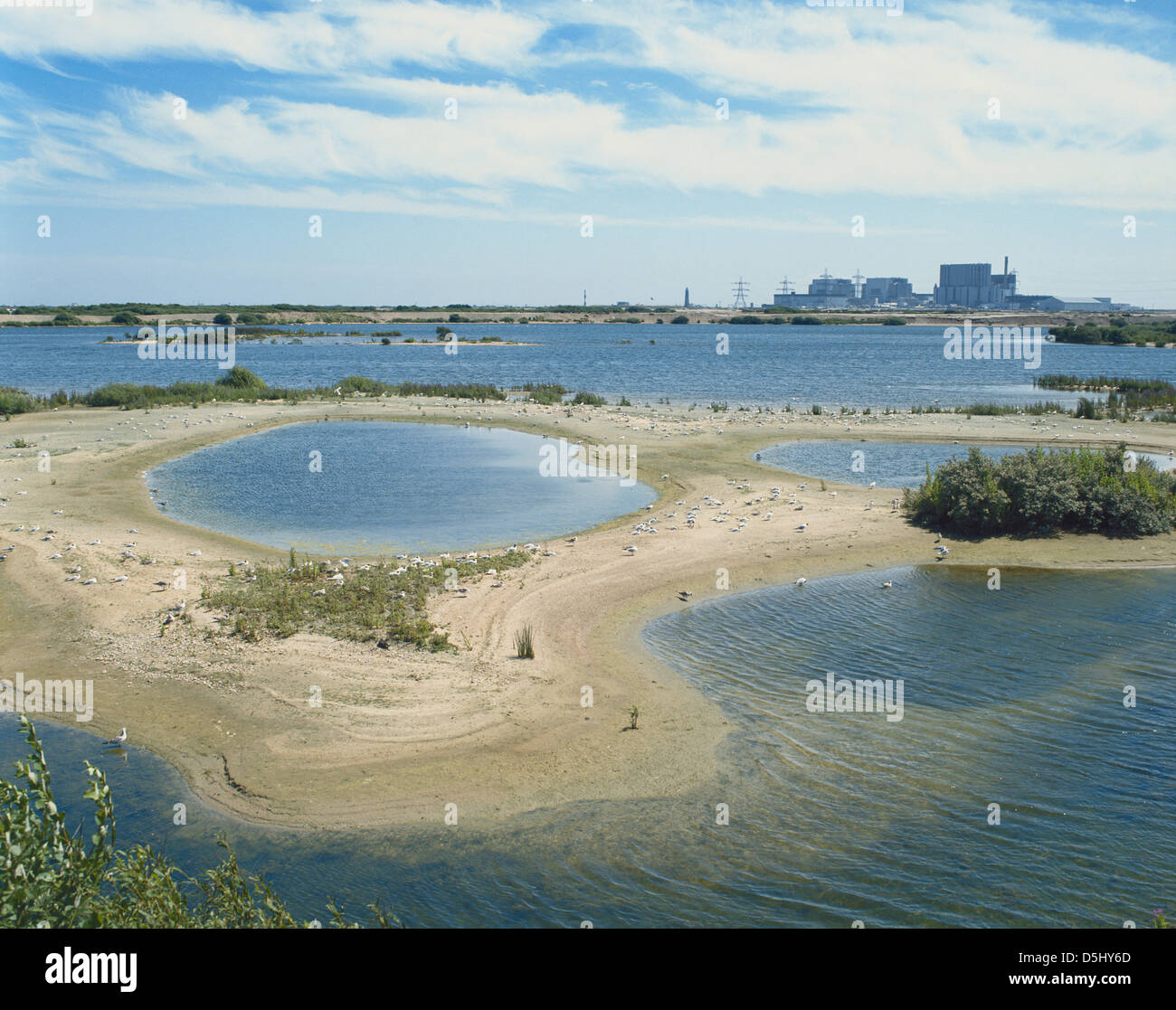 Dungeness rspb reserve kent hi-res stock photography and images - Alamy