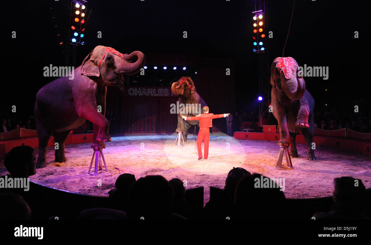 Elephants perform tricks in Circus Charles Knie in Hamburg, Germany, 20 ...