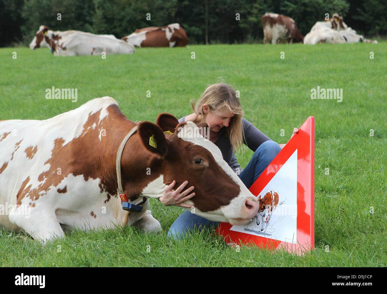 Tine van Houselt shows a cow on of her self-made animal traffic signs ...
