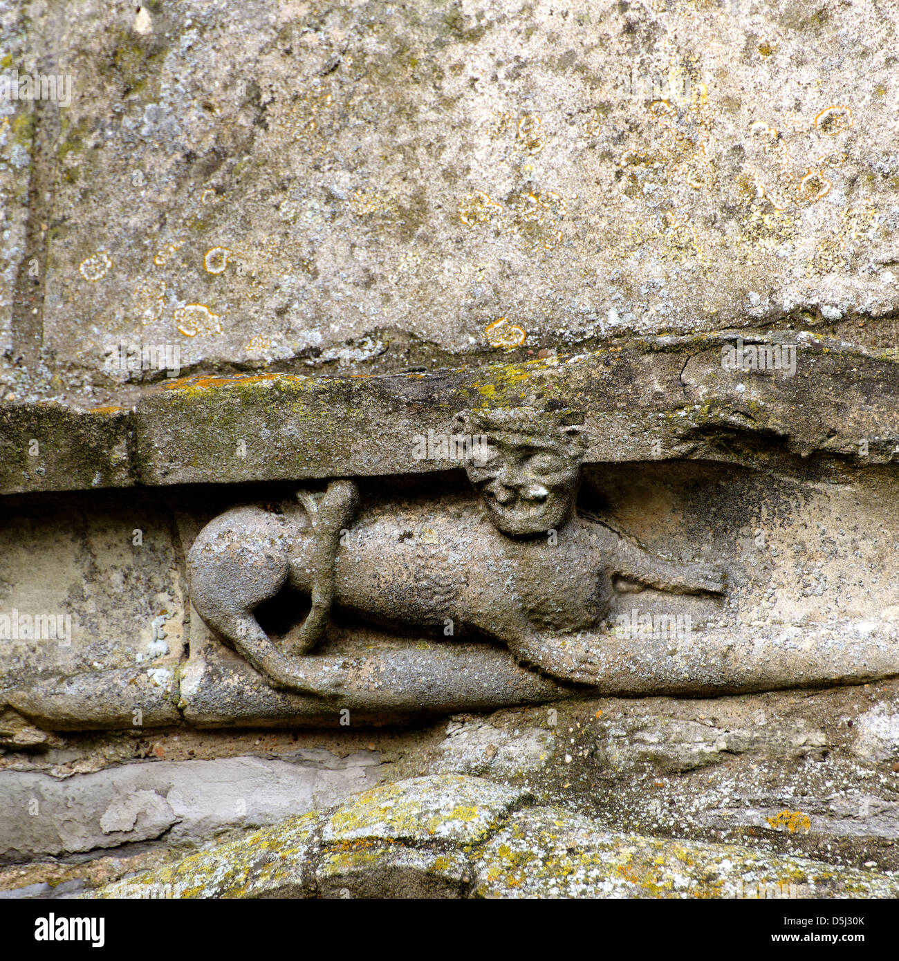 Tail between legs hi-res stock photography and images - Alamy