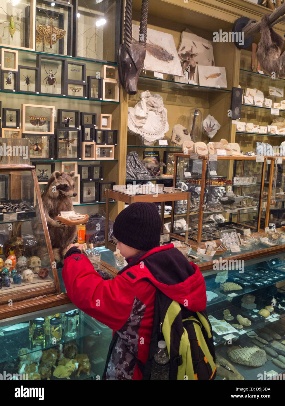 Evolution store in New York City Stock Photo - Alamy