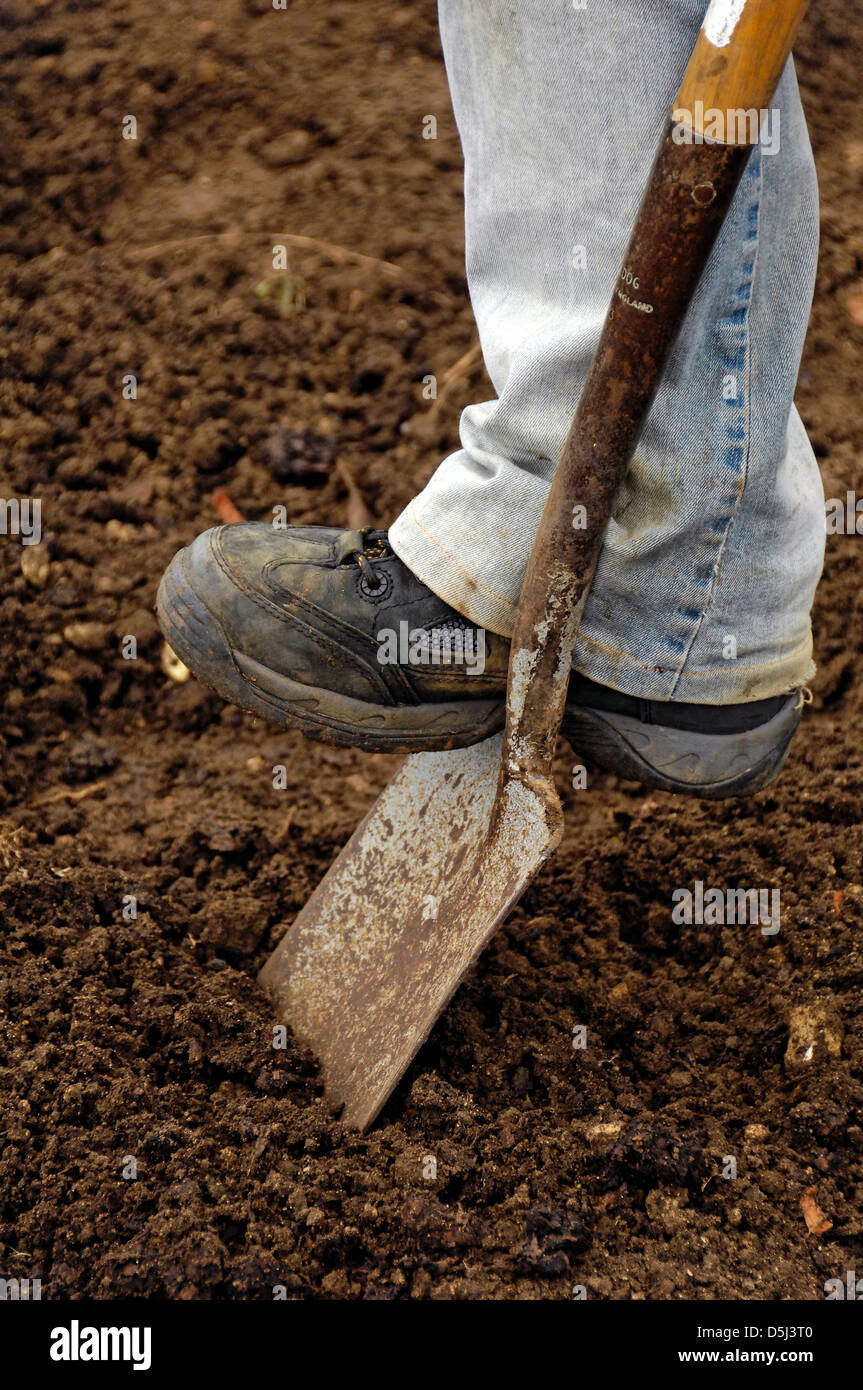 Spade turning hi-res stock photography and images - Alamy