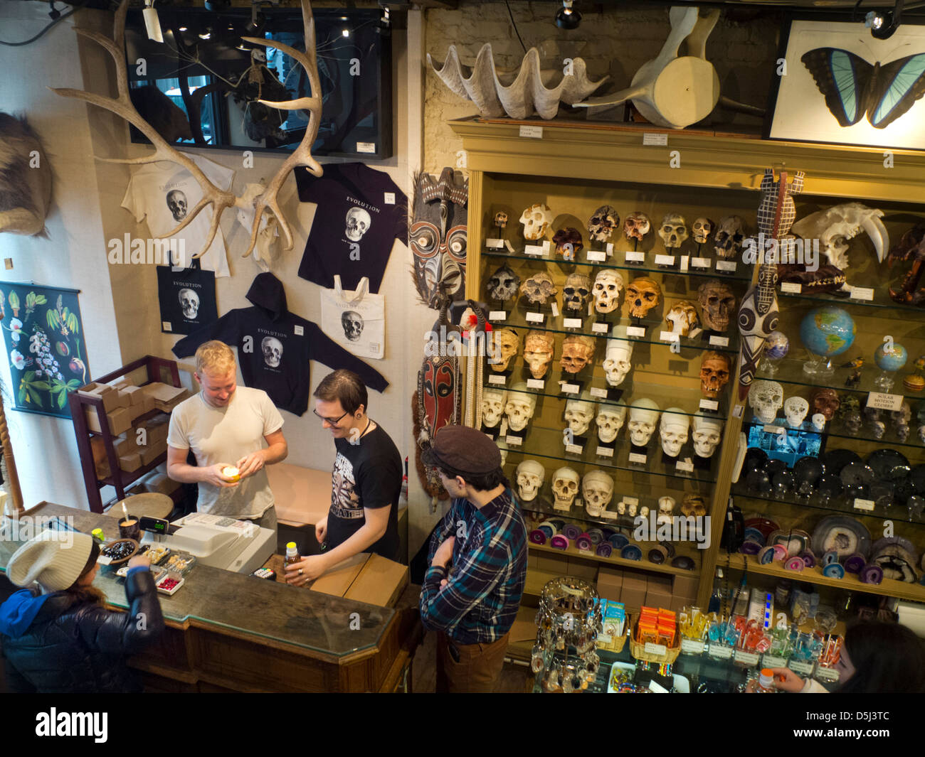 Evolution store in New York City Stock Photo - Alamy