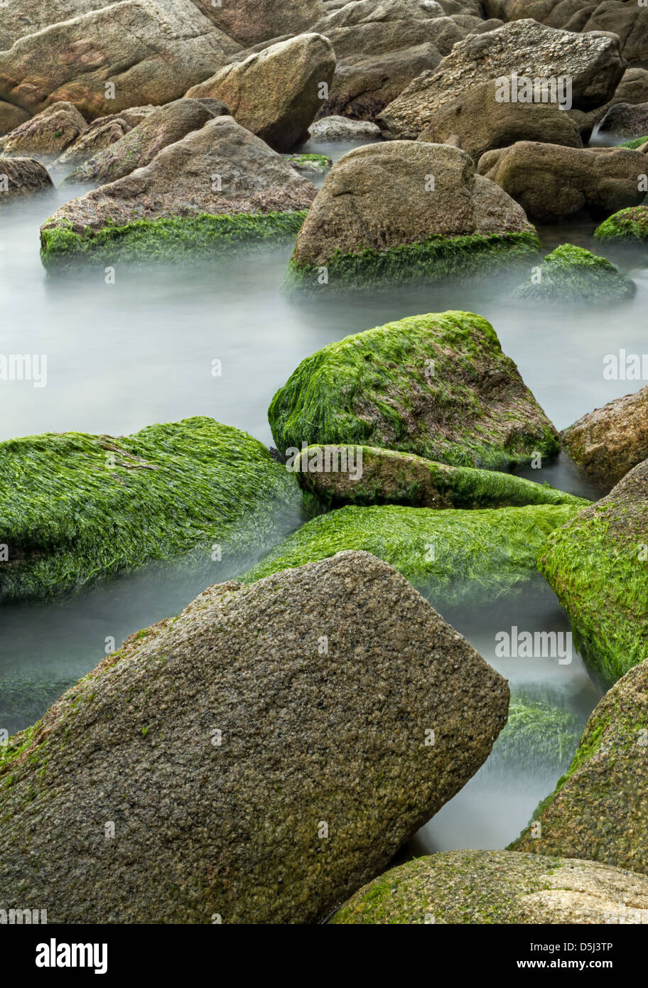 Beautiful nature outdoors hi-res stock photography and images - Alamy