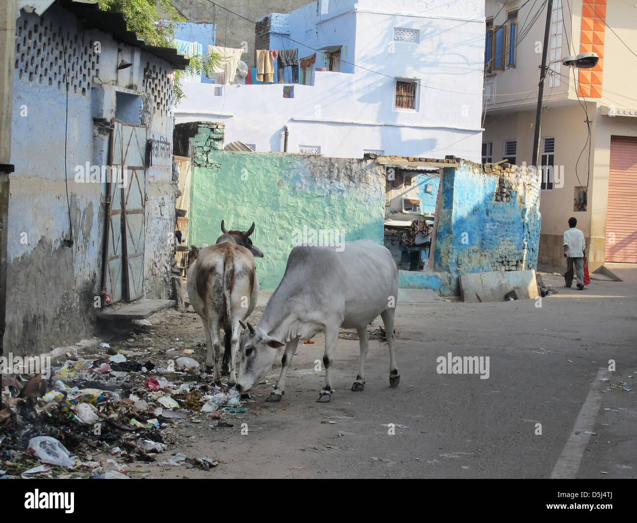 Roam in streets hi-res stock photography and images - Alamy