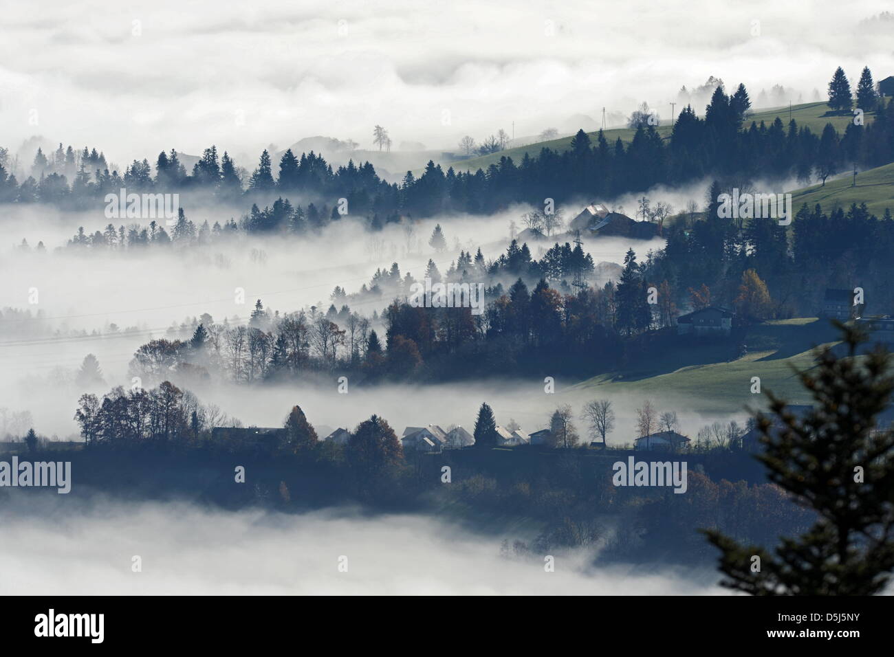 Pfaender hi-res stock photography and images - Alamy