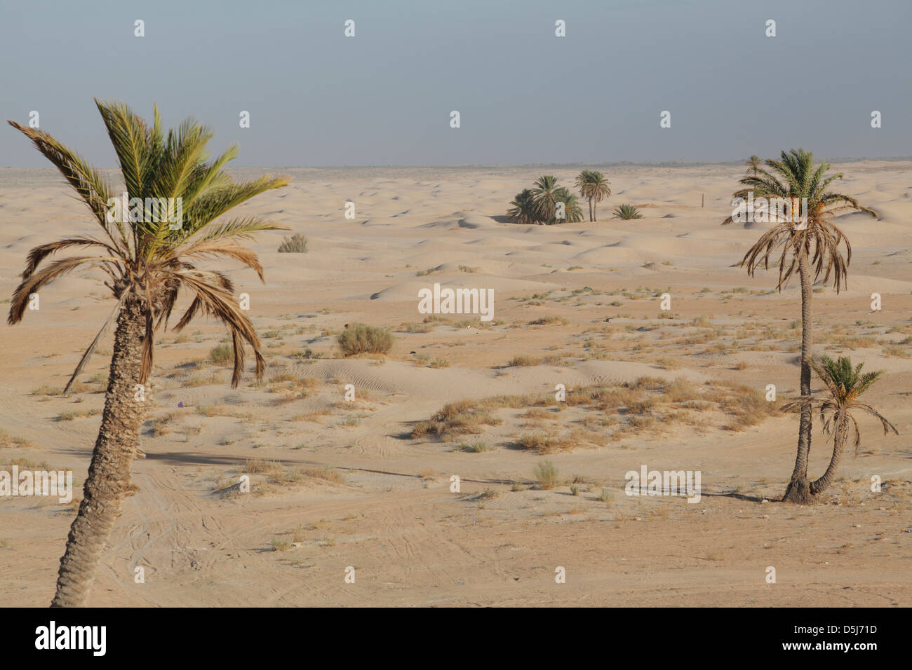 Sahara desert hi-res stock photography and images - Alamy