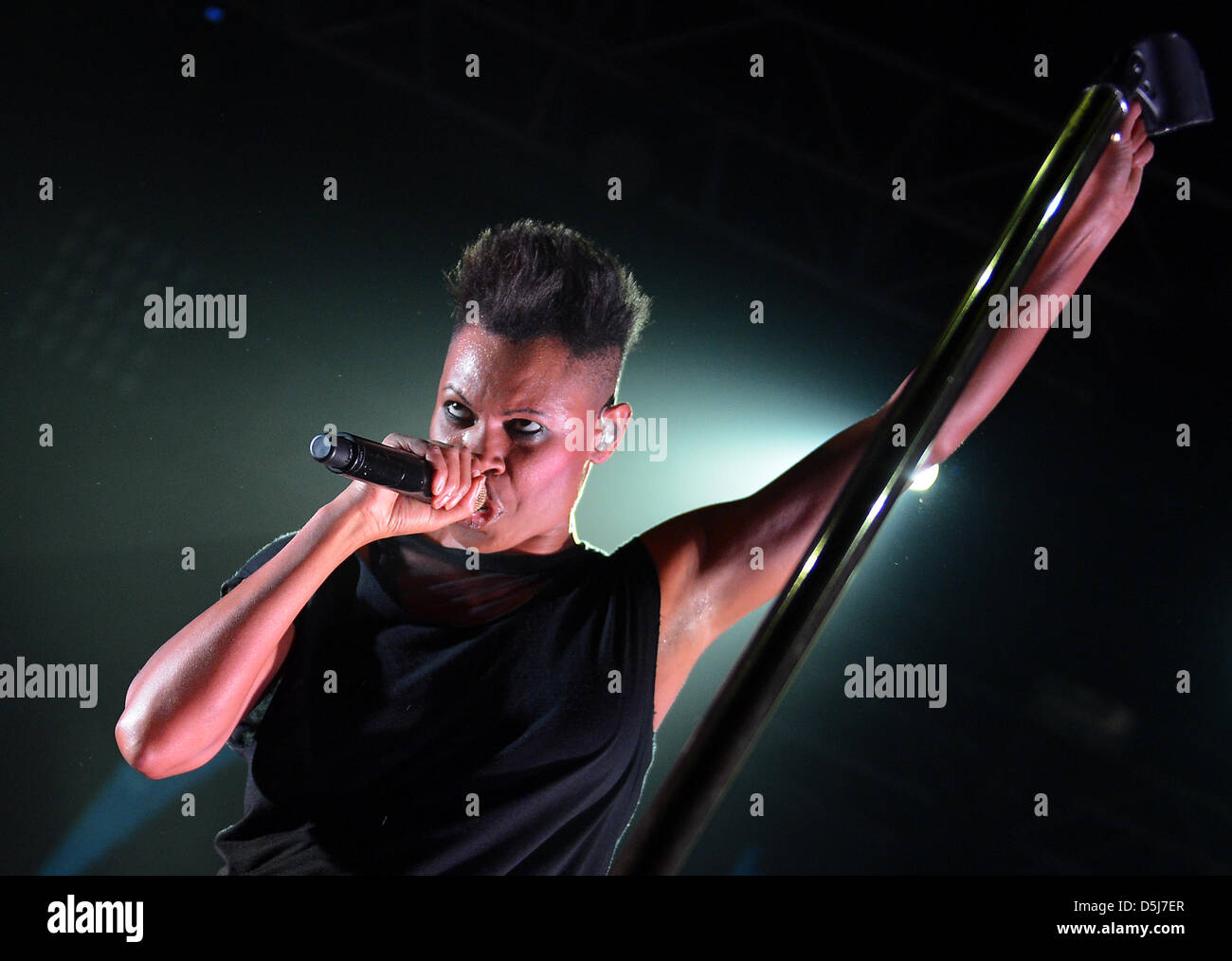 Singer of British band Skunk Anansie, Deborah Anne Dyer aka 'Skin ...