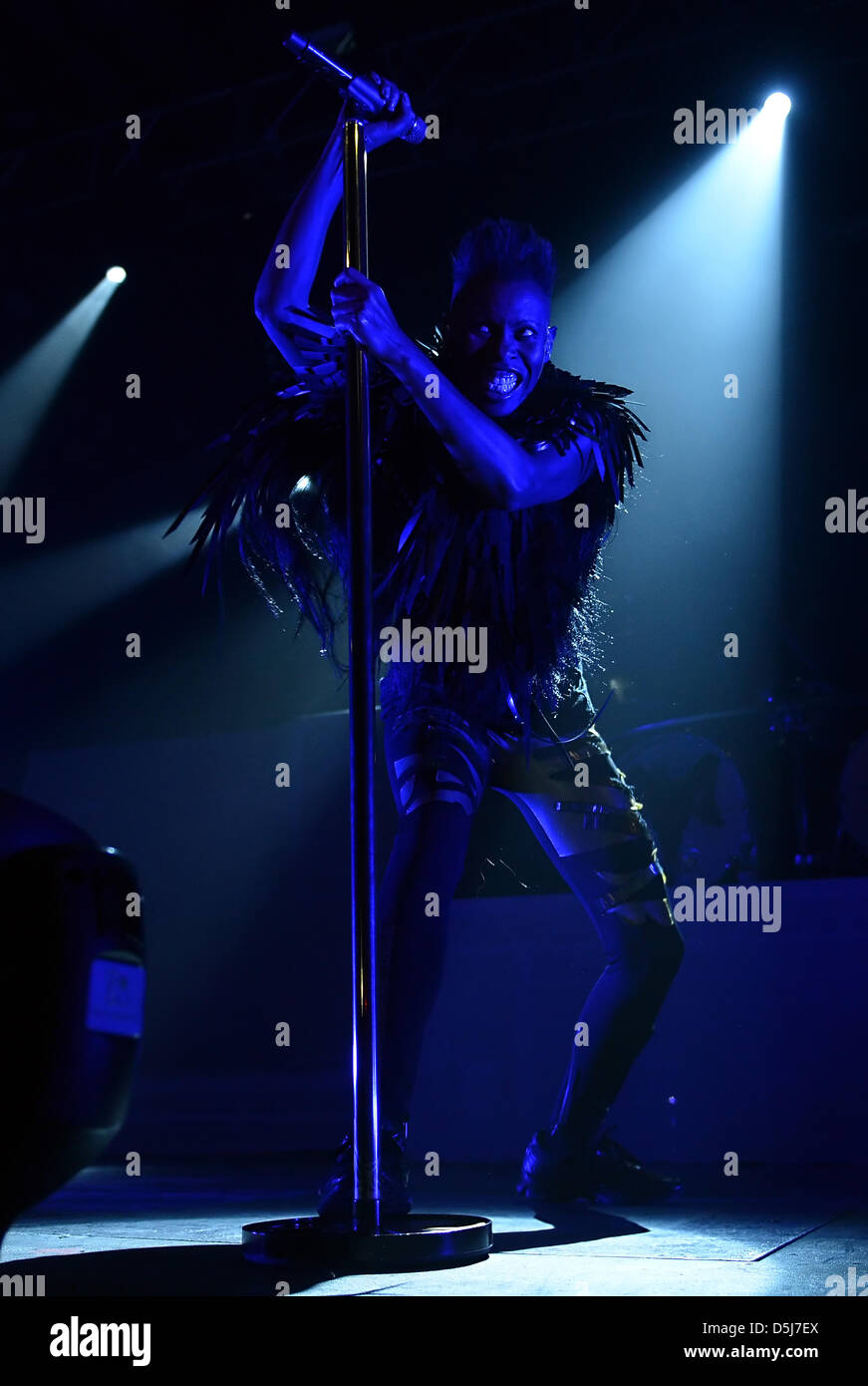 Singer of British band Skunk Anansie, Deborah Anne Dyer aka 'Skin ...